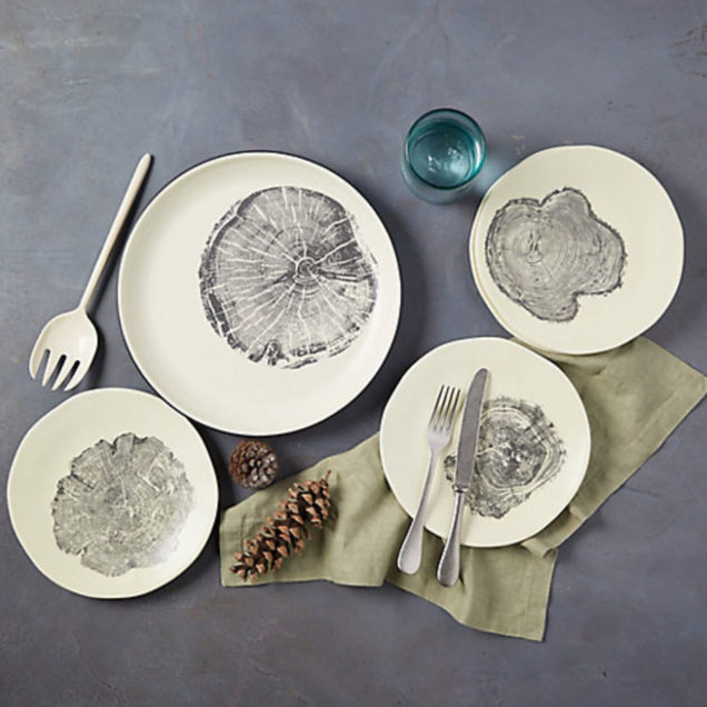 Amazing Gift Ideas for Nature and Tree Lovers - The Mood Guide